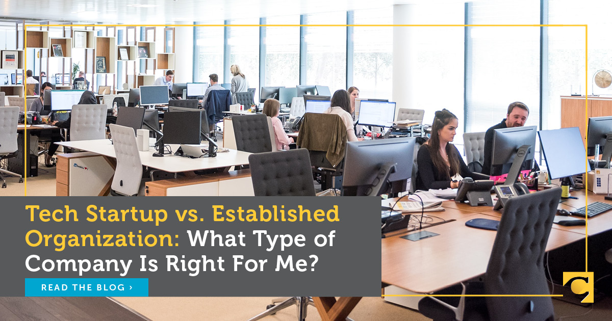 Tech Startup vs. Established Organization: What Type of Company is ...