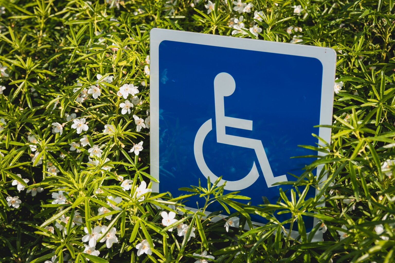 Your guide to the Blue Badge parking rules - Hot SR-22 Insurance News