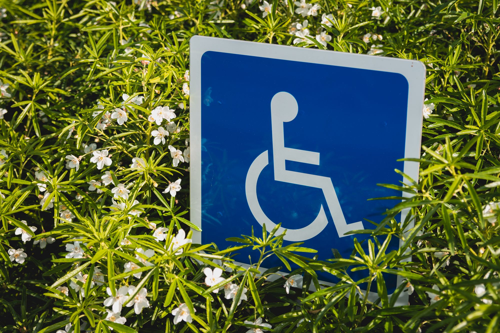 Your guide to the Blue Badge parking rules - Hot SR-22 Insurance News